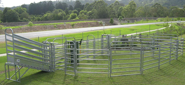 Portable Sheep Panels / Steel Cattle Fence Panels Round Pen Fence ...