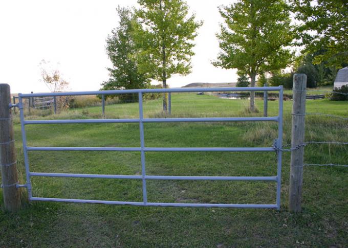 Livestock Steel Farm Gates Padlockable Sliding Latch Adjustable Hinge