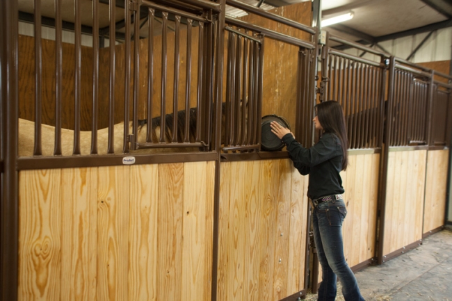 HDG / PC Finish Horse Stall Components , Easy Install Portable Stall Panels
