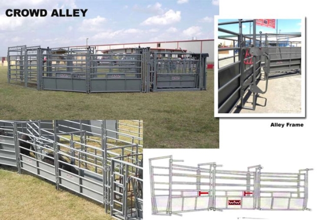 Powder Coated Livestock Handling Equipment 8ft Adjustable Cattle Alleyway