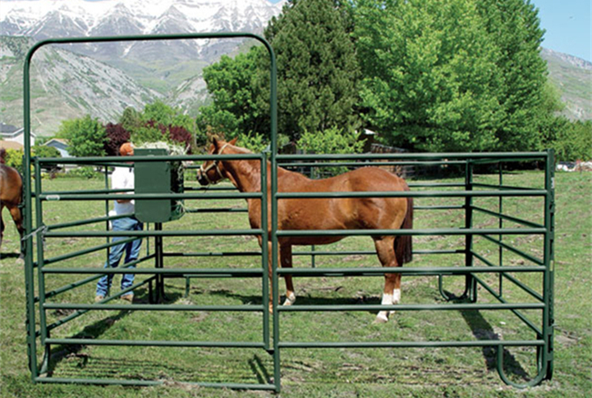 Pipe Railing Cattle Corral Panels , Portable Corral Panels With Black ...