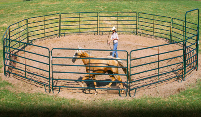 Portable Horse Corral Panels Steel Metal Pipe Galvanized / Painted Finish