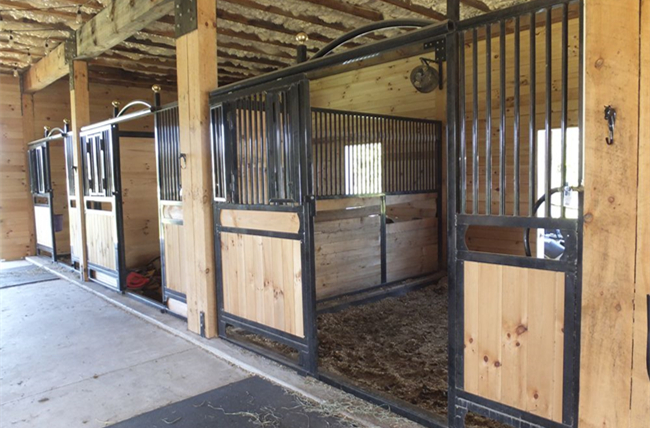 Custom European Horse Stall Panels with Adjustable Latch