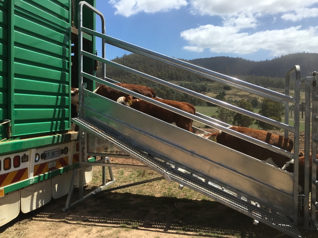 4.7m Cattle Loading Ramp Smooth High Strength Platform Safety Rail