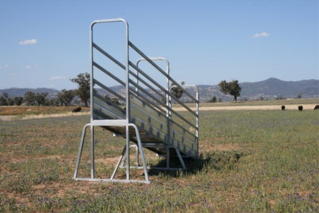 Metal Cattle Loading Ramp Double Swing Access Gates Heavy Duty Ladder