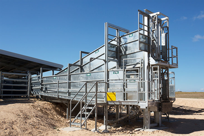 Standard Outdoor Livestock Loading Ramp , 4.7m Deluxe Portable Sheep Ramp