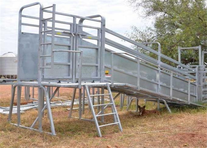 3.6 Metre Adjustable Cattle Loading Ramp With Dual Pin Locking System