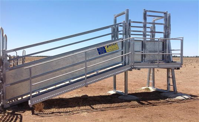 6 Metre Deluxe Cattle Loading Ramp Easily Construction CE Standard