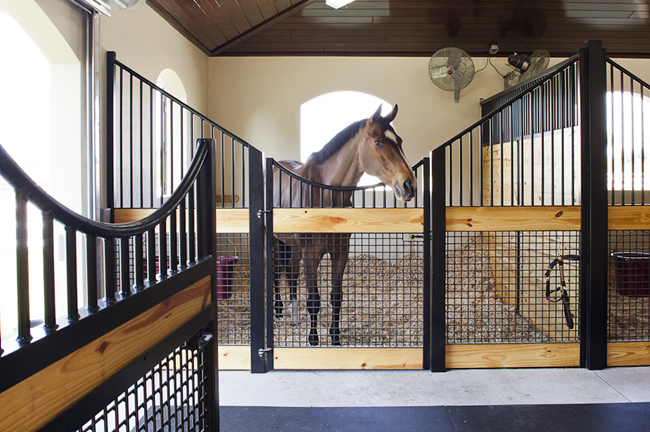 Easy Connection Horse Stall Panels Hot Dipped Galvanized Finish CE Approval