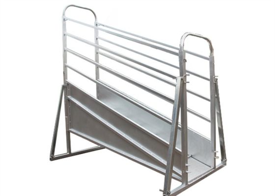 Hot Dip Galvanized 4m Sheep Loading Ramp Plans Corrosion Resistance