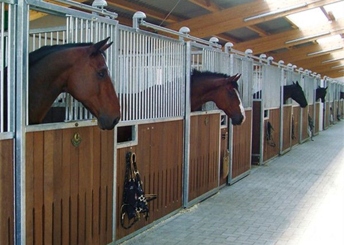 Custom Steel Horse Stable Partitions / Horse Stable Box With Riding ...
