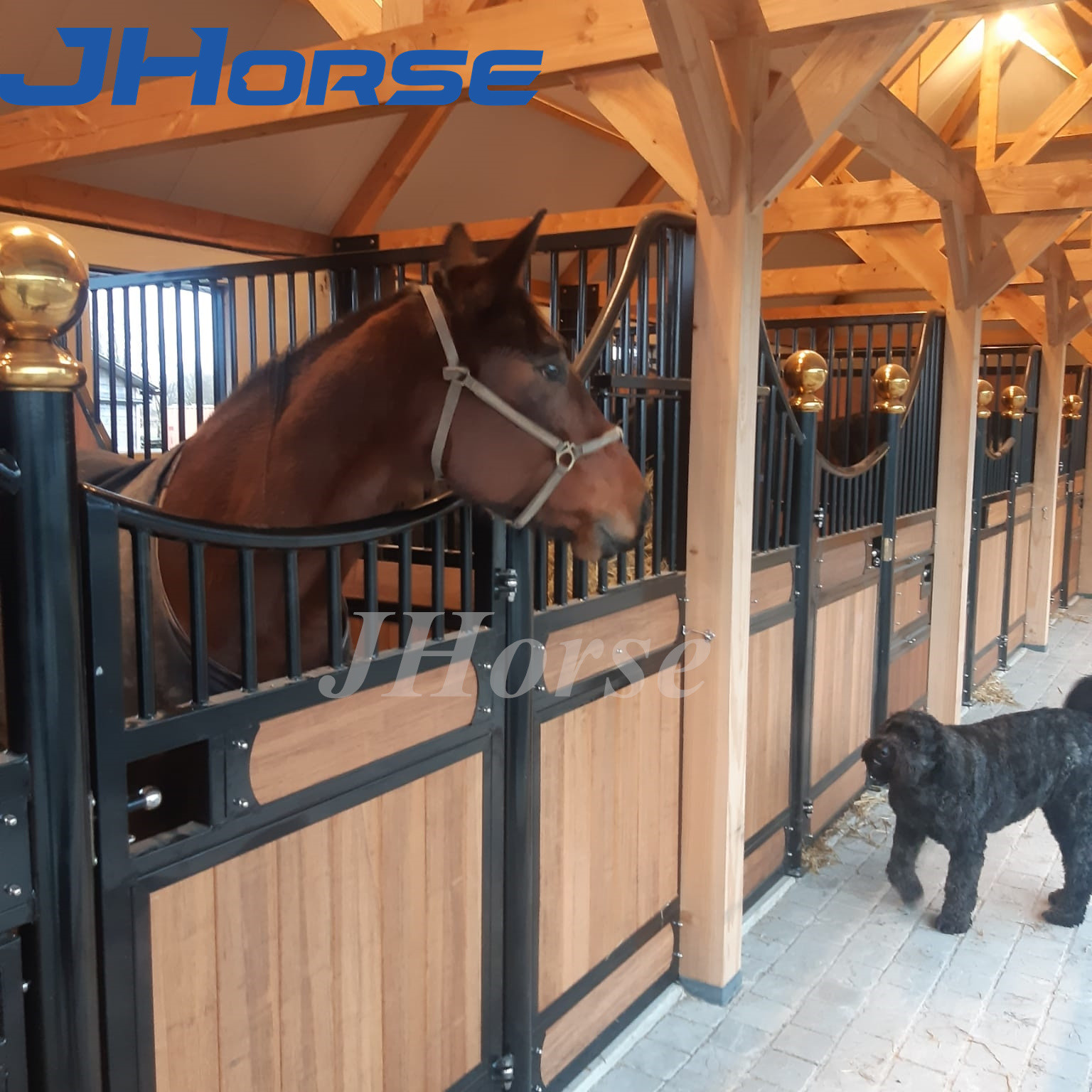 Customizable Split Door Swing Horse Stall Fronts Panel Steel Q235B Material