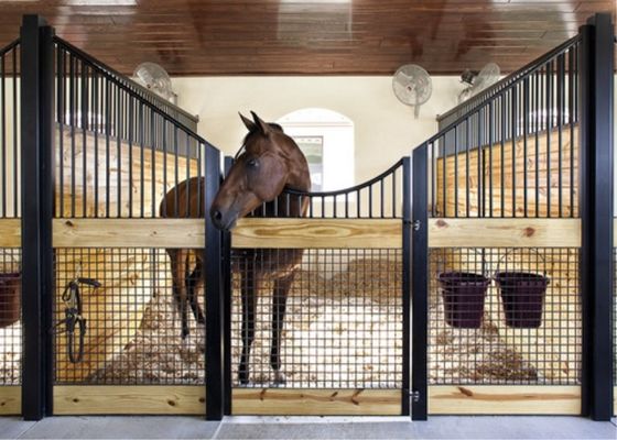 Custom Painted Horse Barn Stalls with U Channel Divider Walls
