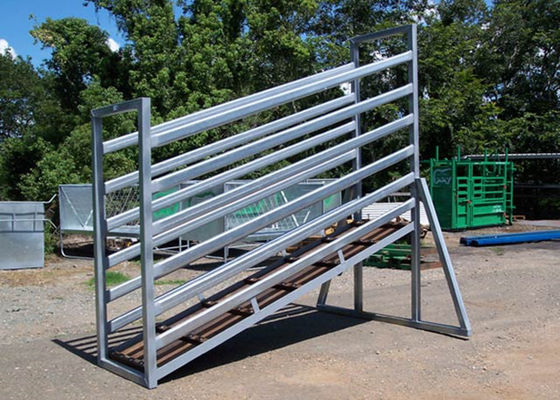 Strong Sheep Loading Ramp , Fully Welded Construction Portable Sheep Ramp